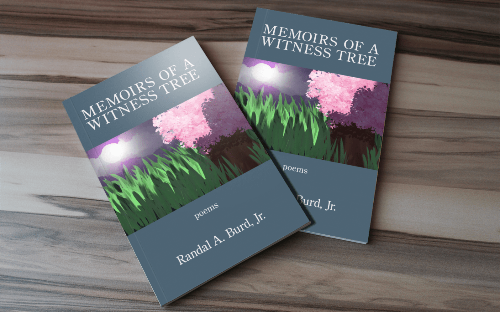 Memoirs of a Witness Tree - The Edge of Memory